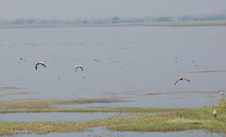 Travel Uncommon destinations Journals Road Trips Backpack ...